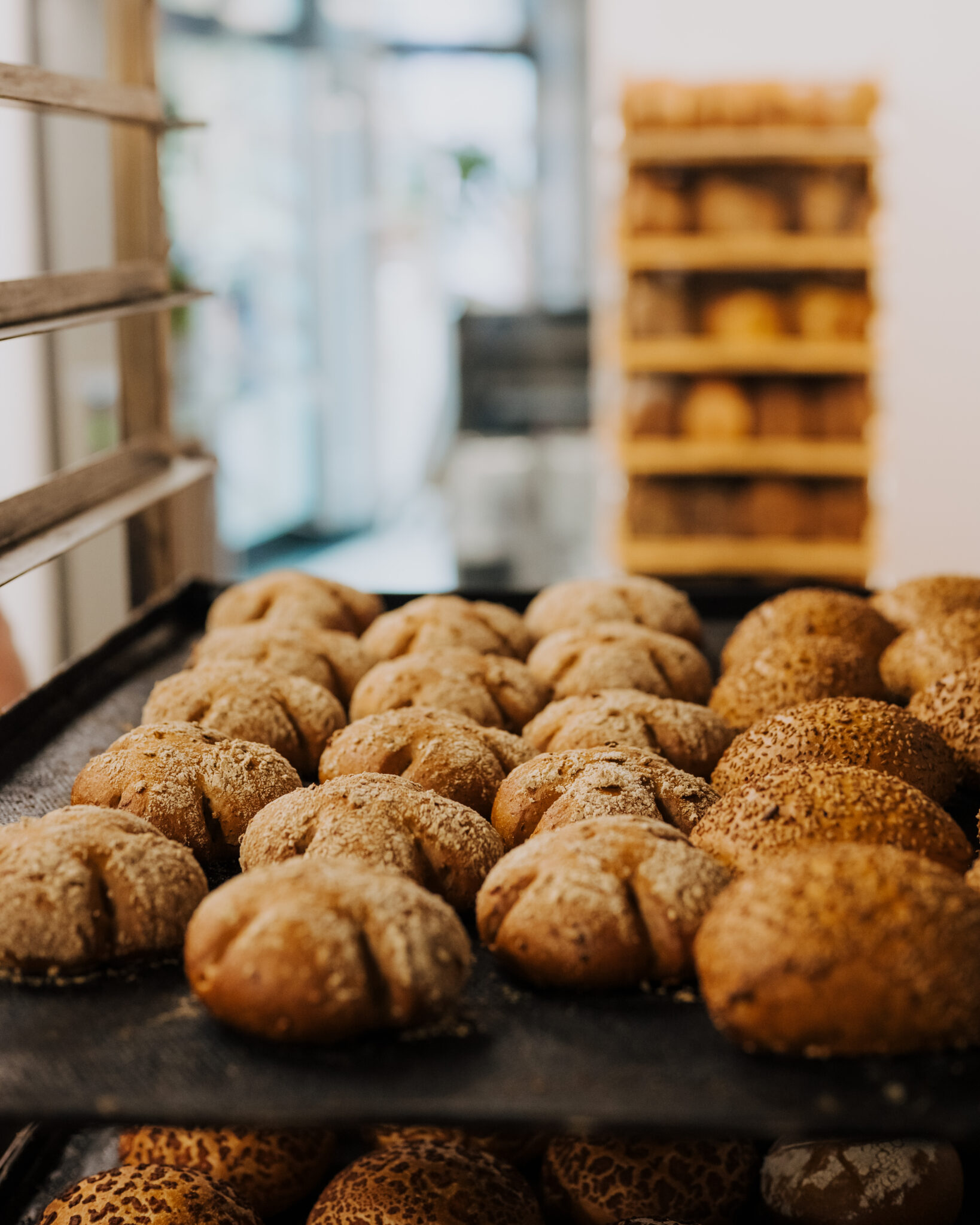 Bakker Rijkenberg | Ambachtelijke bakkerij in Haarlem